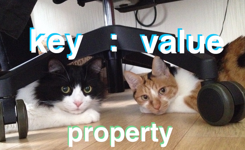 TIL ⎮ JavaScript_기초8_객체(Object)